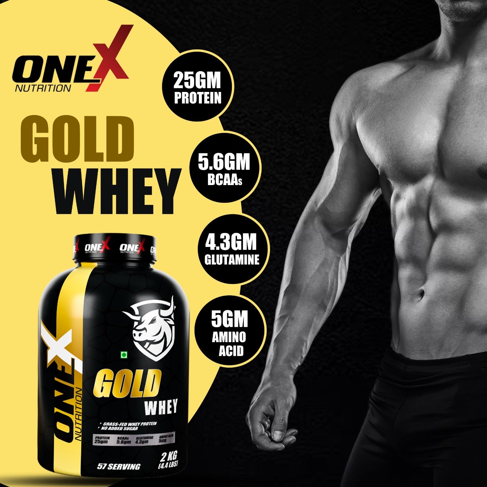 Gold Whey Protein: A Muscle-Building Powerhouse for Fitness Enthusiast ...